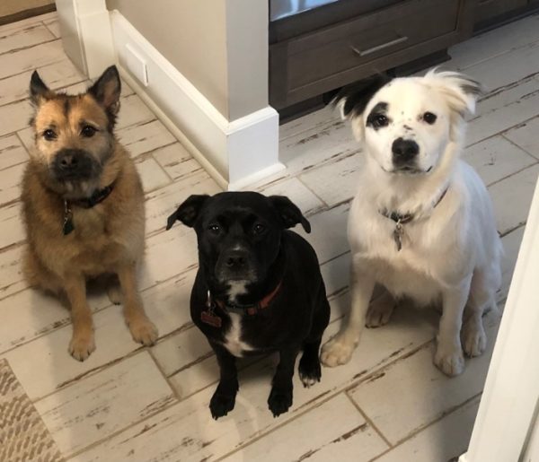 Designing a More Compelling Home - Housing Design Matters