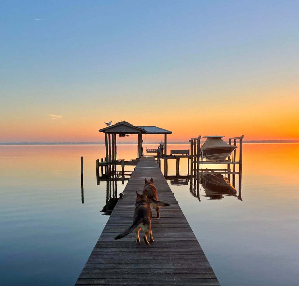 Capturing the Magic of Lot Premiums - Housing Design Matters