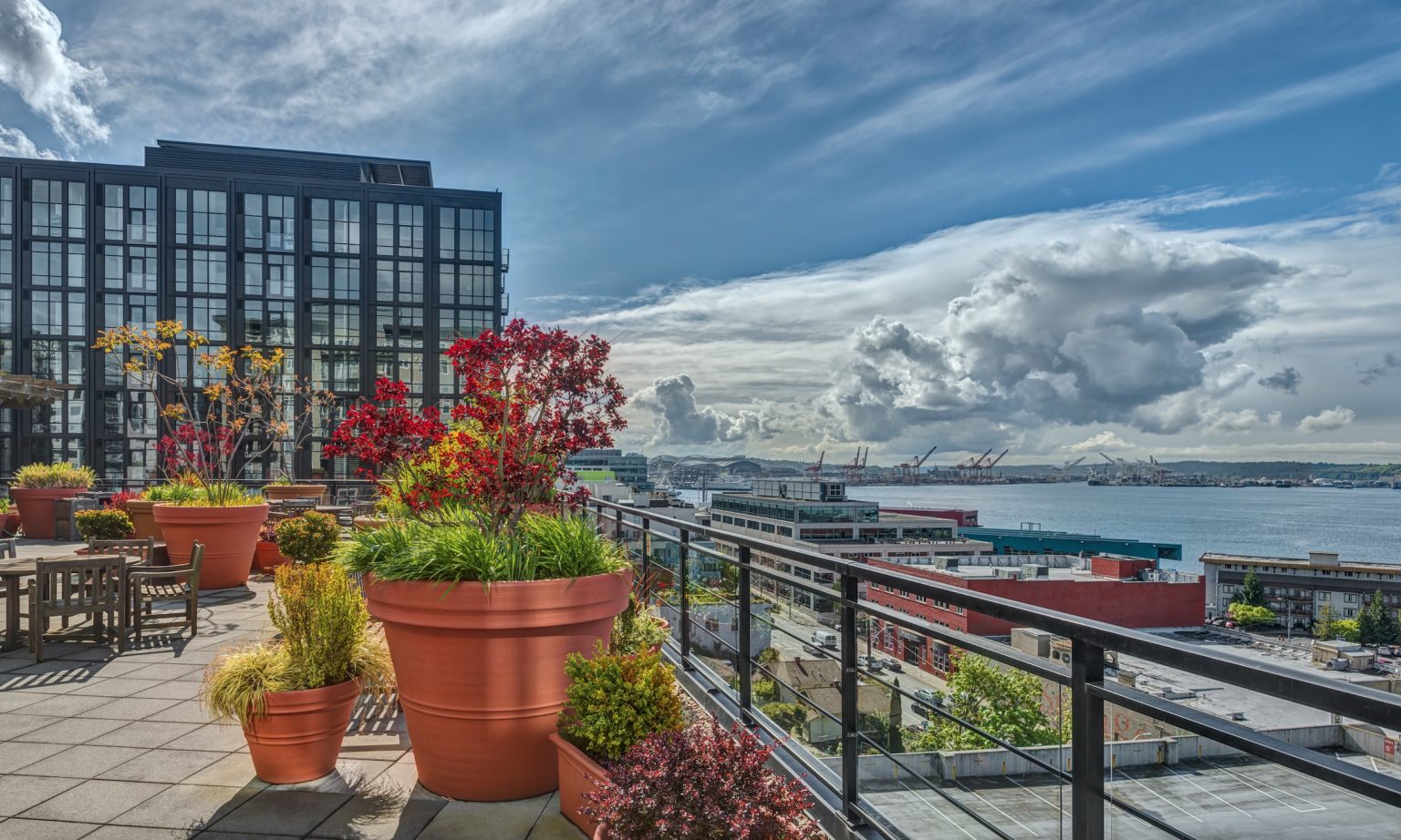 “Found” Space Up on the Roof - Housing Design Matters